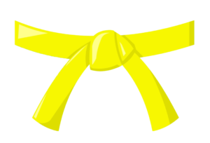 yellow belt image – Copy | Engineering Possibilities